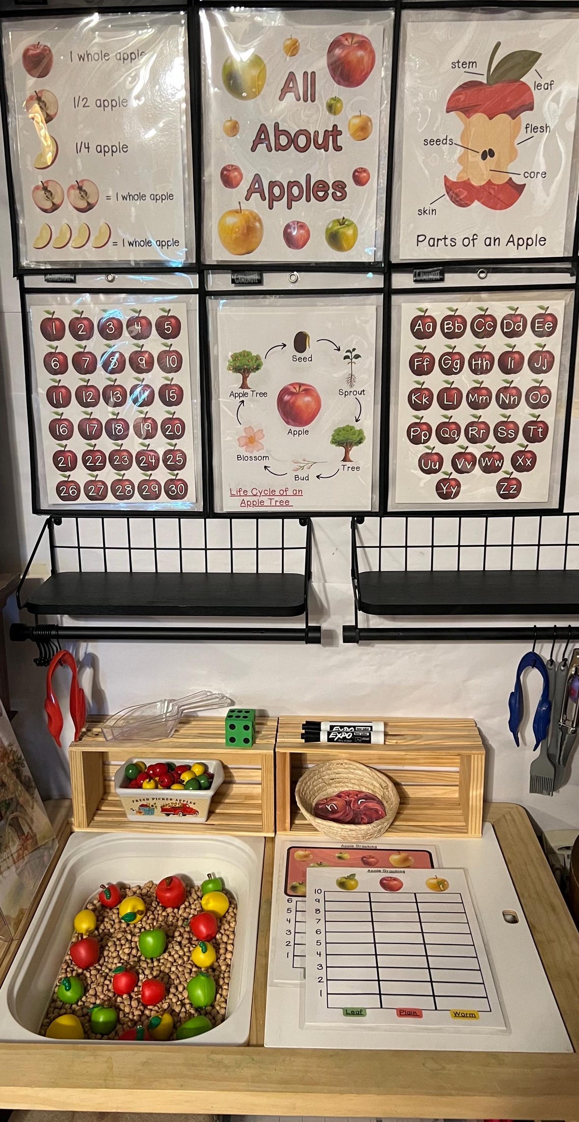 Apple Unit Study, Elementary Worksheets, Sensory Bin Activity (digital ...