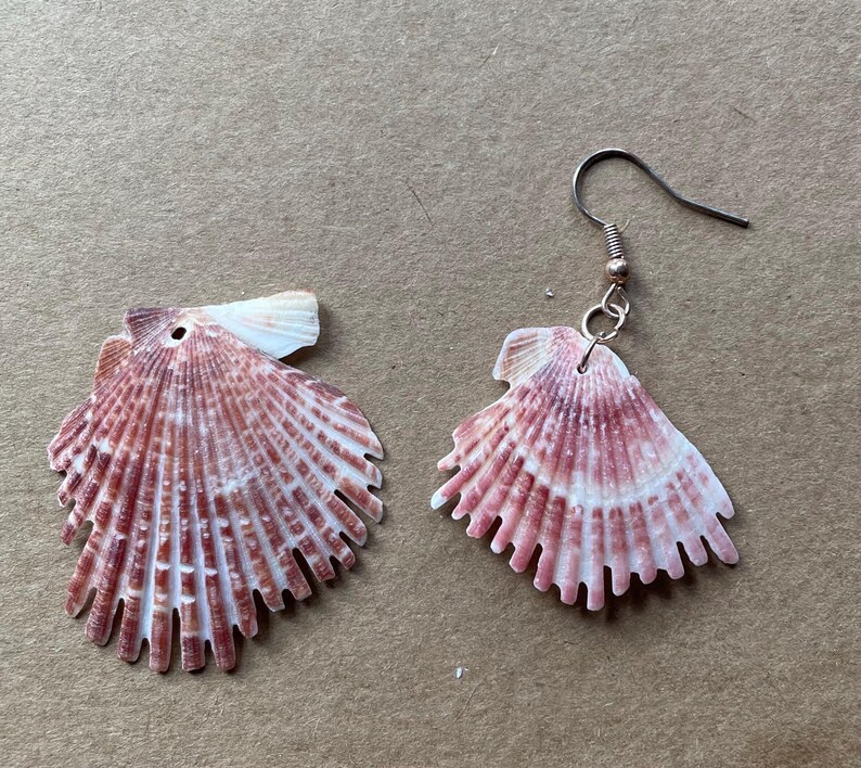 Sea Shell Earings Carved - Etsy