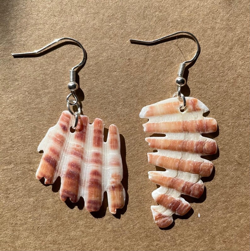 Sea Shell Earings Carved - Etsy