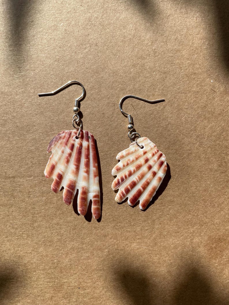 Sea Shell Earings Carved - Etsy