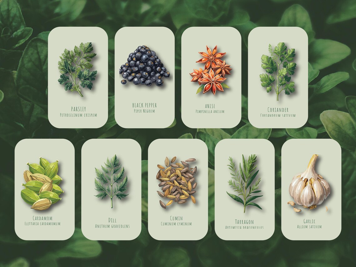 Printable Herbalism Cards, 45 Herbs & Spices With Benefits, Flash Cards ...