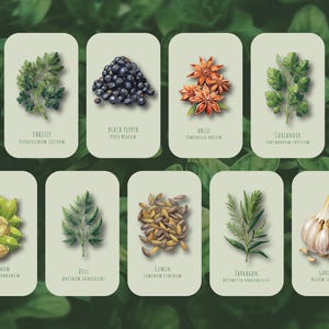 Printable Herbalism Cards, 45 Herbs & Spices With Benefits, Flash Cards ...