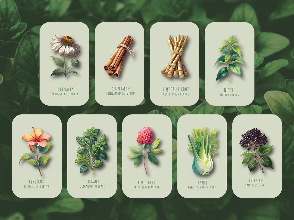 Printable Herbalism Cards, 45 Herbs & Spices With Benefits, Flash Cards ...