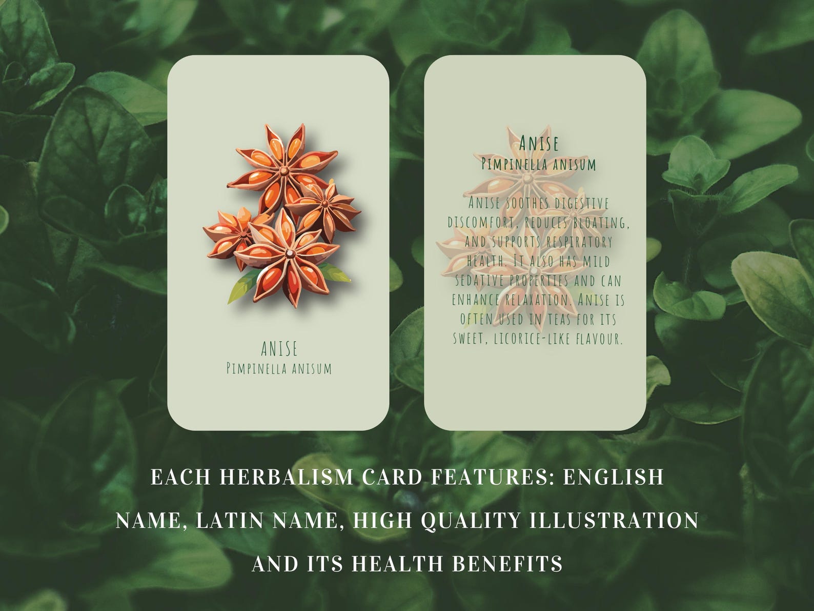 Printable Herbalism Cards, 45 Herbs & Spices With Benefits, Flash Cards ...