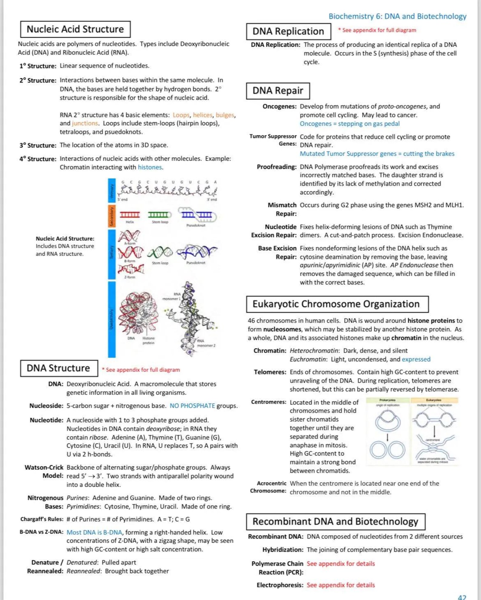 Ultimate Comprehensive MCAT Study Guide for 2024-2025 Exam: MCAT Cheat ...