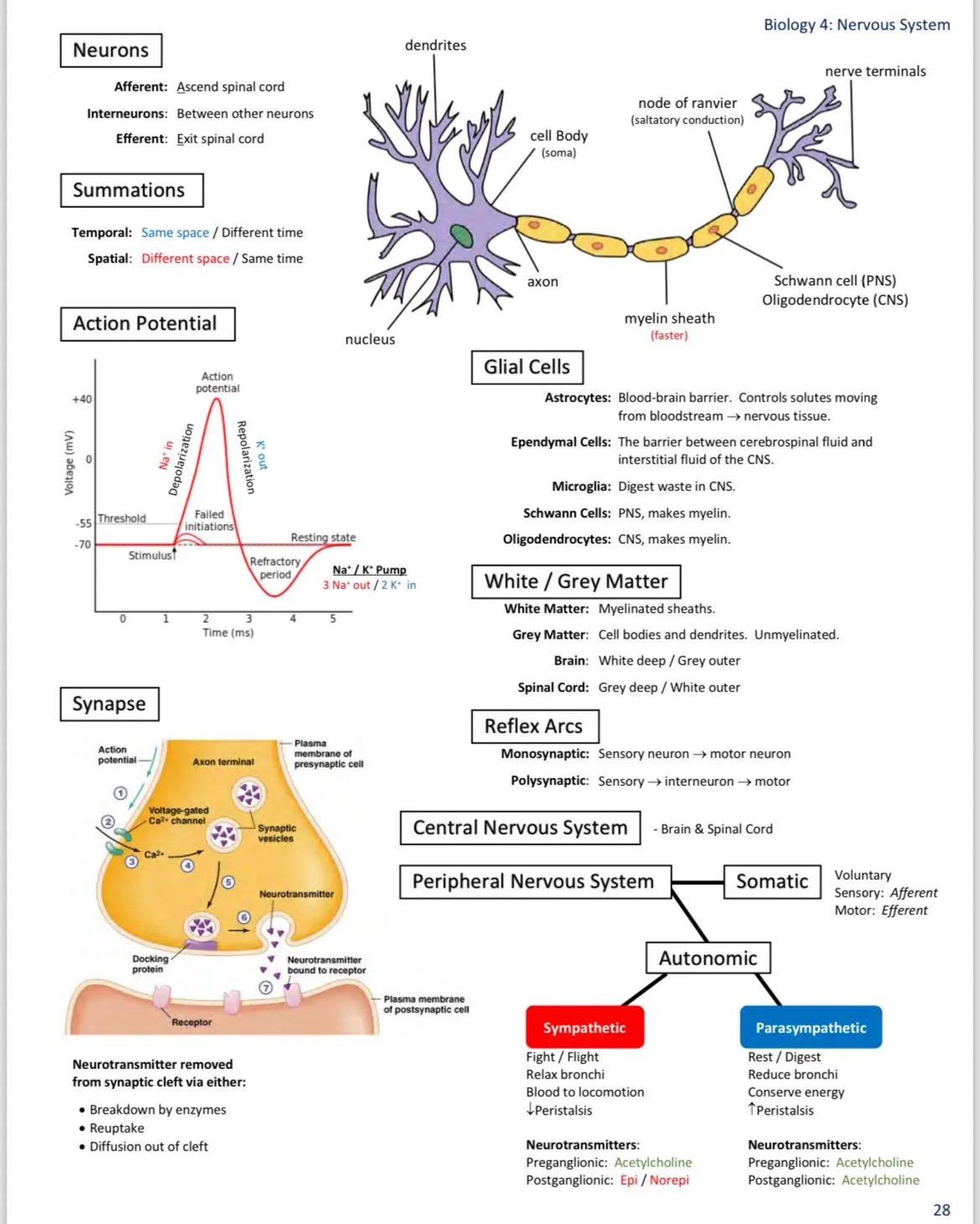 Ultimate Comprehensive MCAT Study Guide for 2024-2025 Exam: MCAT Cheat ...