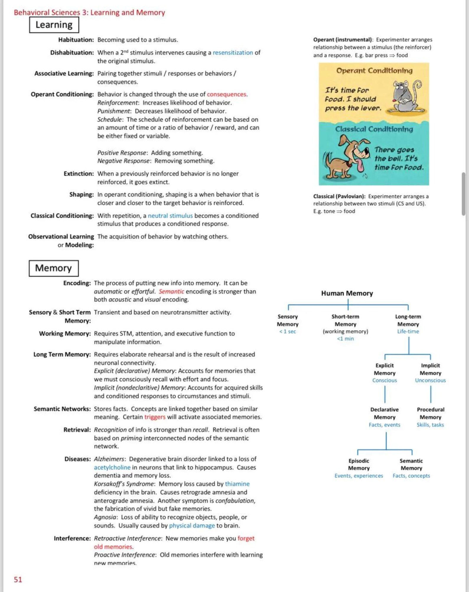 Ultimate Comprehensive MCAT Study Guide for 2024-2025 Exam: MCAT Cheat ...