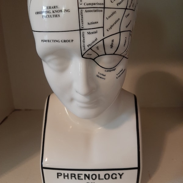 Phrenology Head Etsy