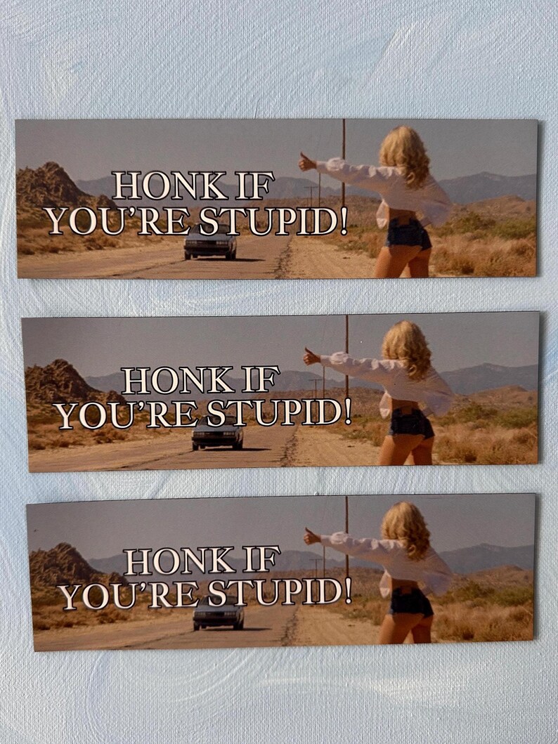 Honk If You're Stupid — Sabrina Carpenter Bumper Sticker Magnet | Funny ...