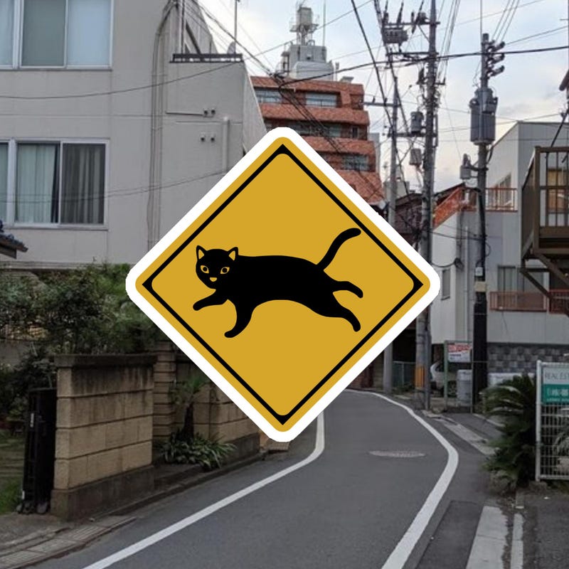 Cat Crossing - Etsy