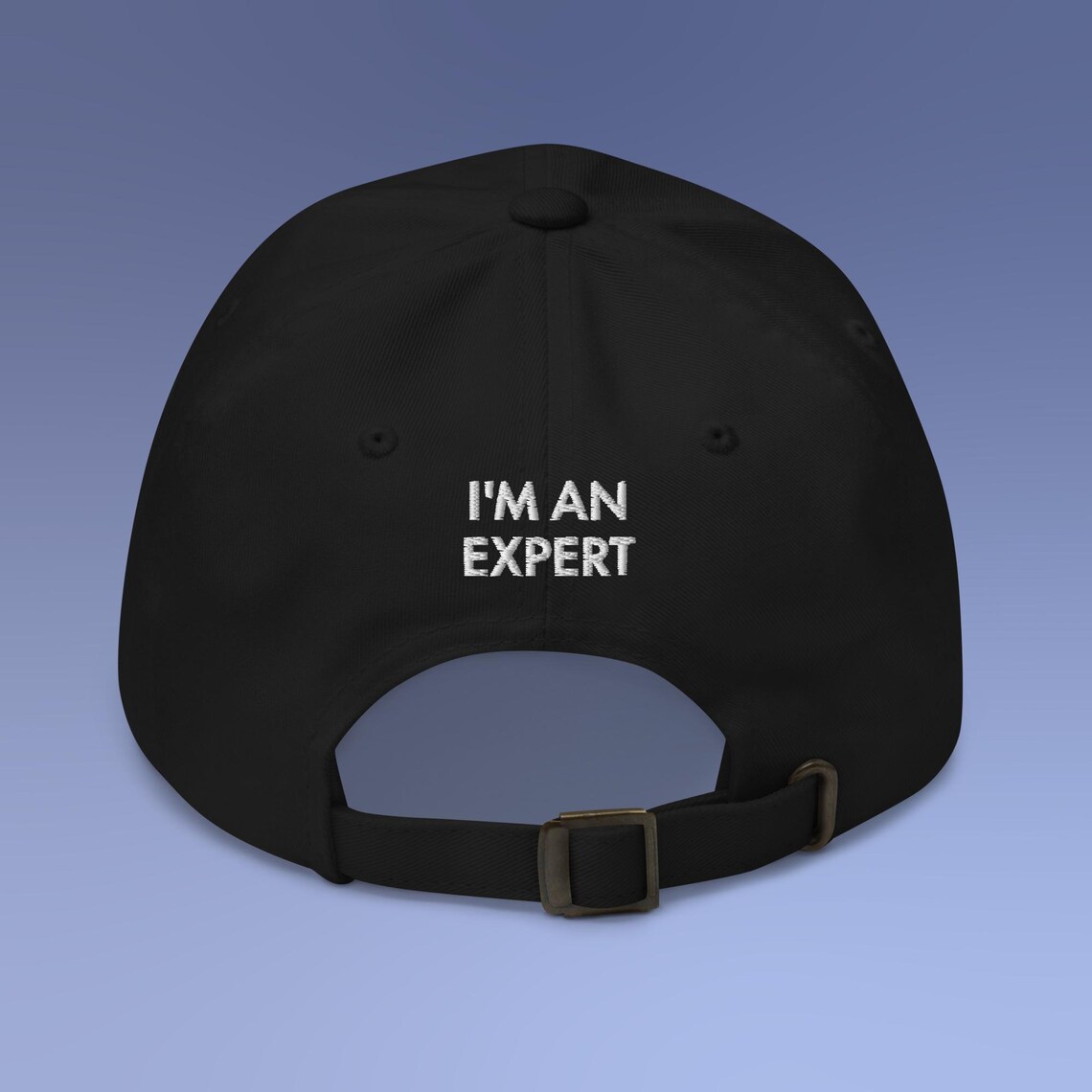 Ask Me About Trains - I'm an Expert Hat - Etsy