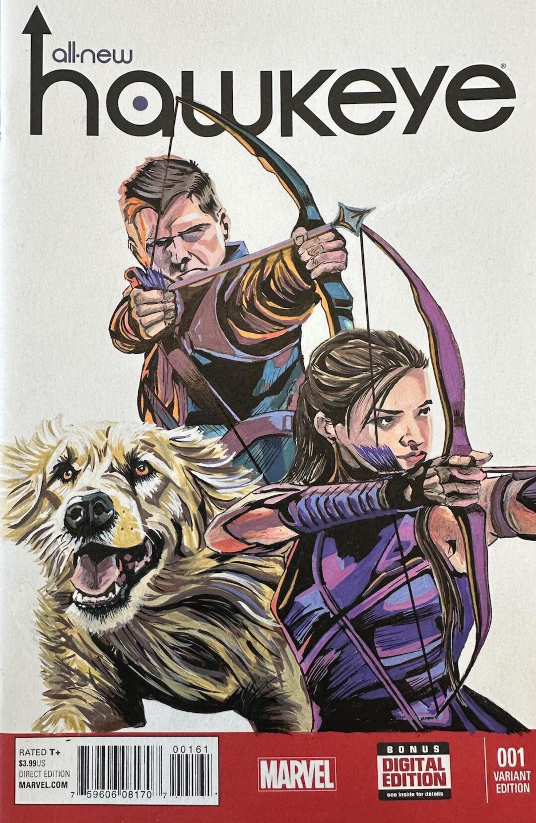 Hawkeye #1 Comic Book Blank Cover Art Photo Print - Etsy