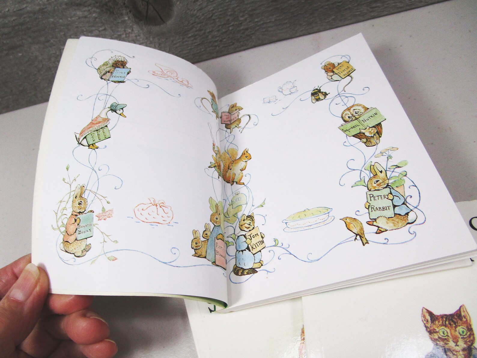 BP Peter Rabbit Collection Squirrel Nutkin Mr Jeremy Fisher - Etsy