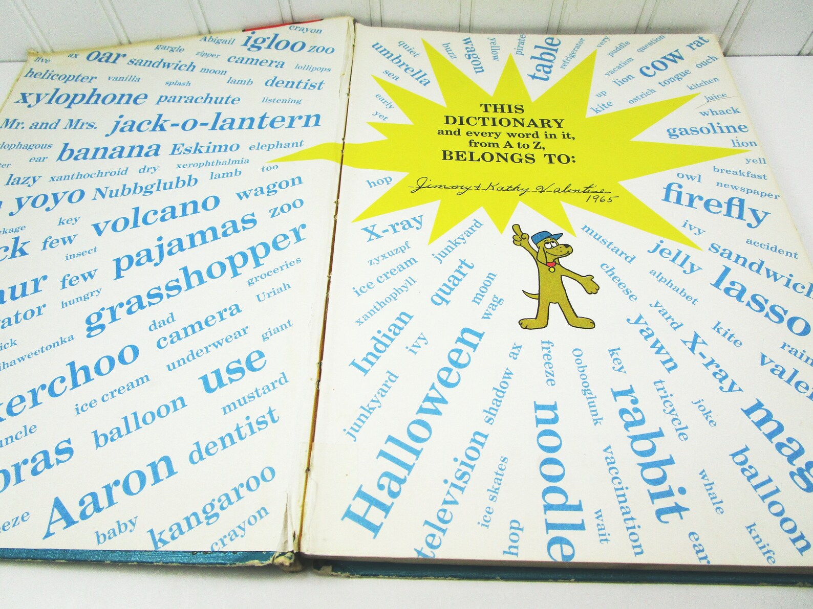 The Cat in the Hat Dictionary P D Eastman 1964 I Can Read It | Etsy