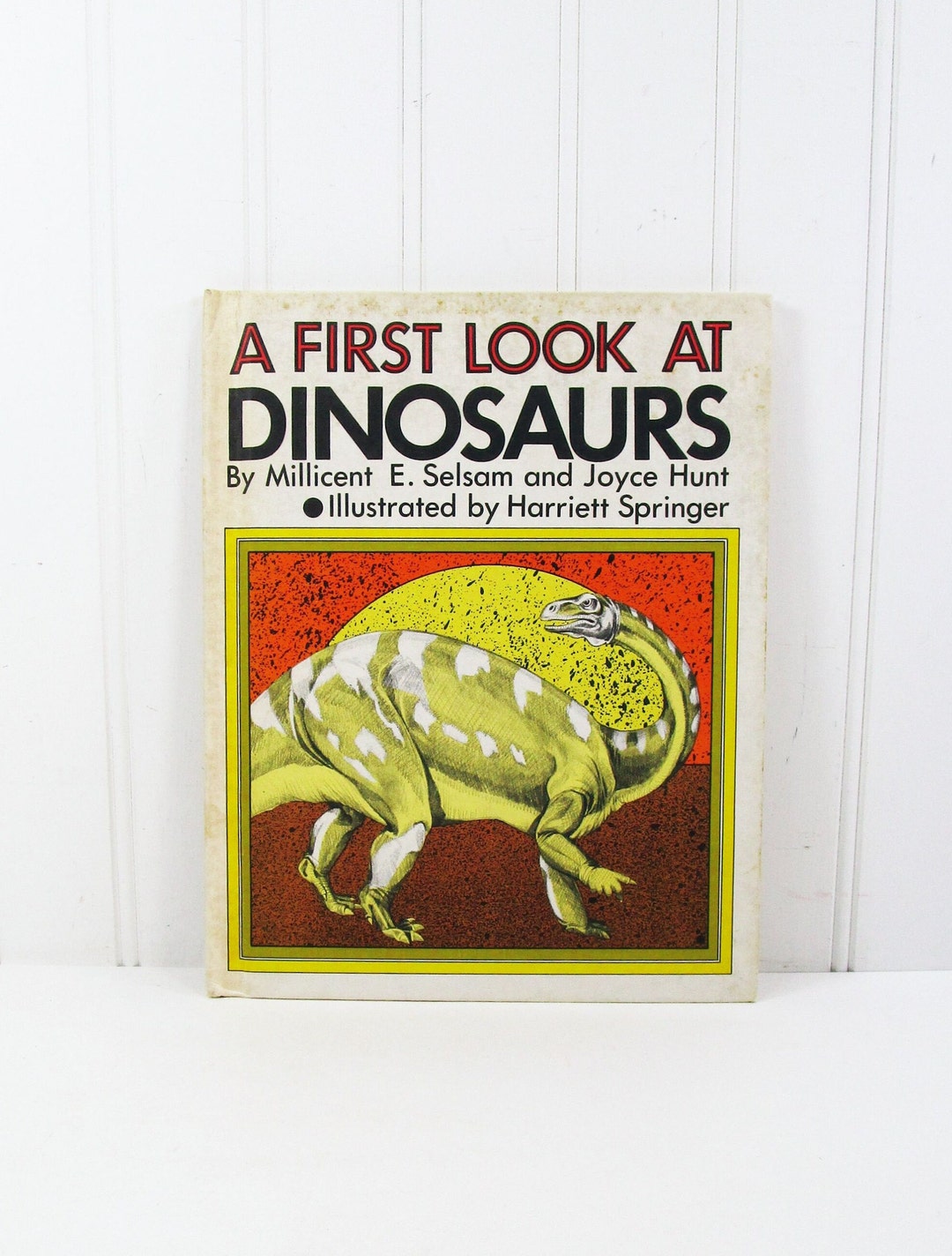 A First Look at Dinosaurs by Millicent Ellis Selsam and Joyce Hunt ...