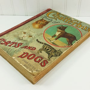 Chatterbox Book of Cats and Dogs Anna Robinson Antique Pet Stories 1909 ...
