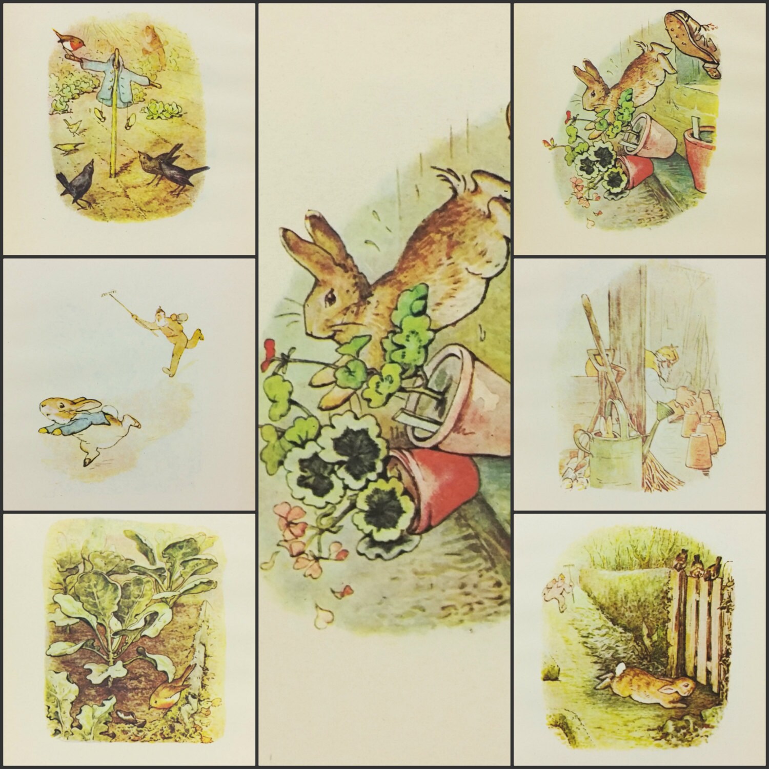 Peter Rabbit Art Prints Beatrix Potter McGregors Garden Flower | Etsy