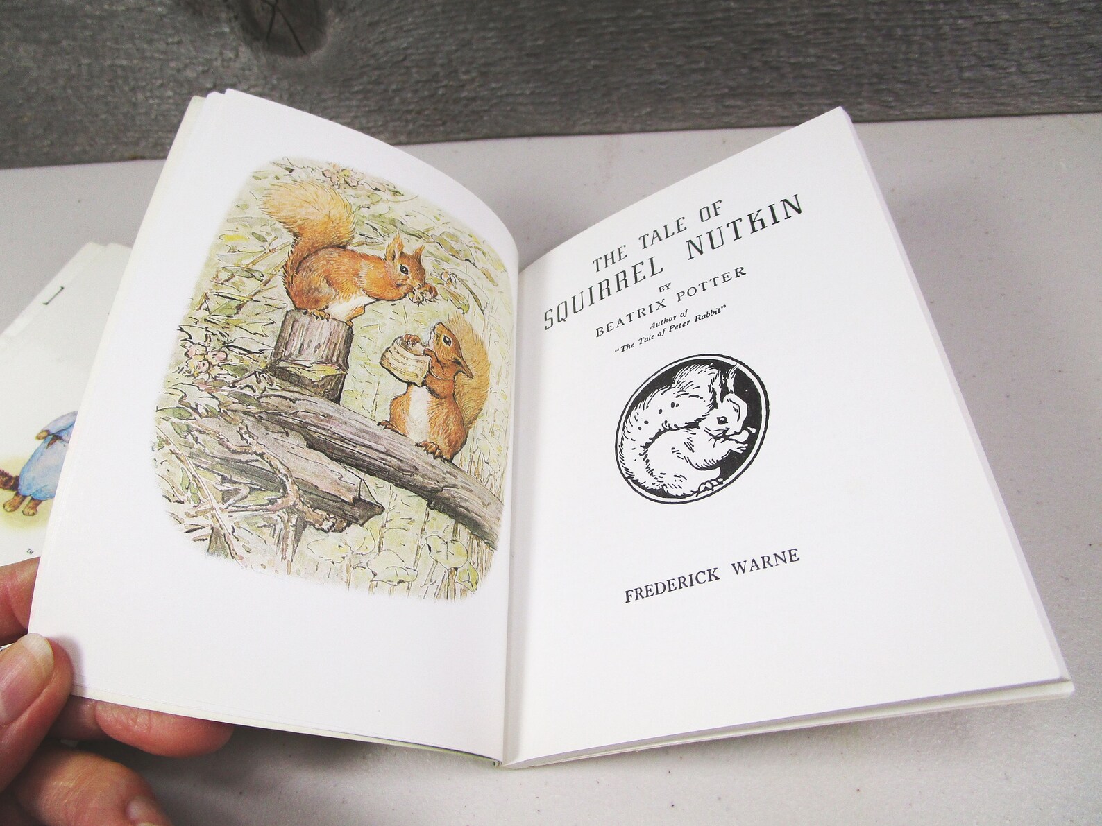 BP Peter Rabbit Collection Squirrel Nutkin Mr Jeremy Fisher - Etsy