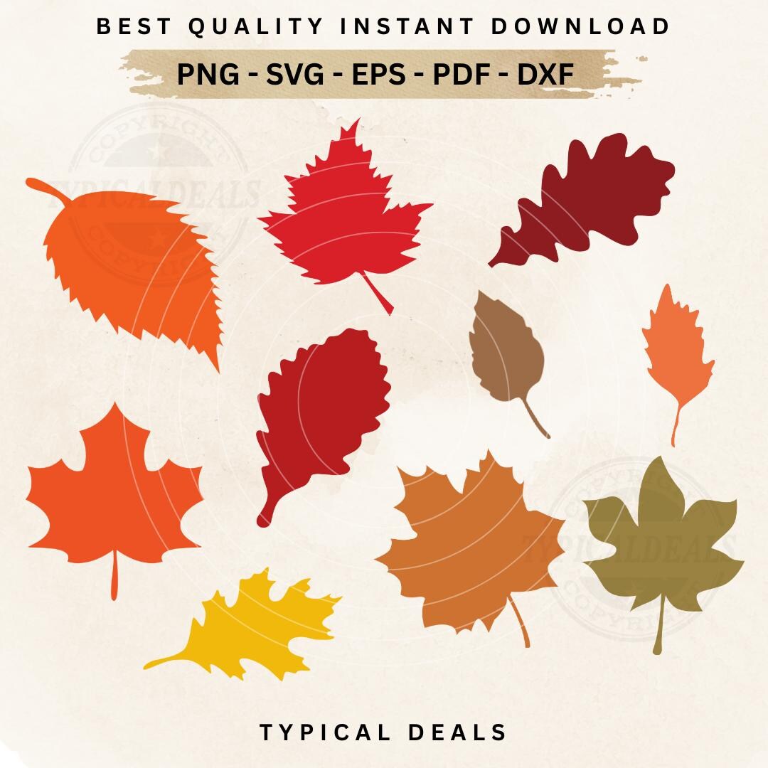 Fall Leaf SVG PNG Bundle for Cricut: Autumn Leaves Clipart Cut Files ...