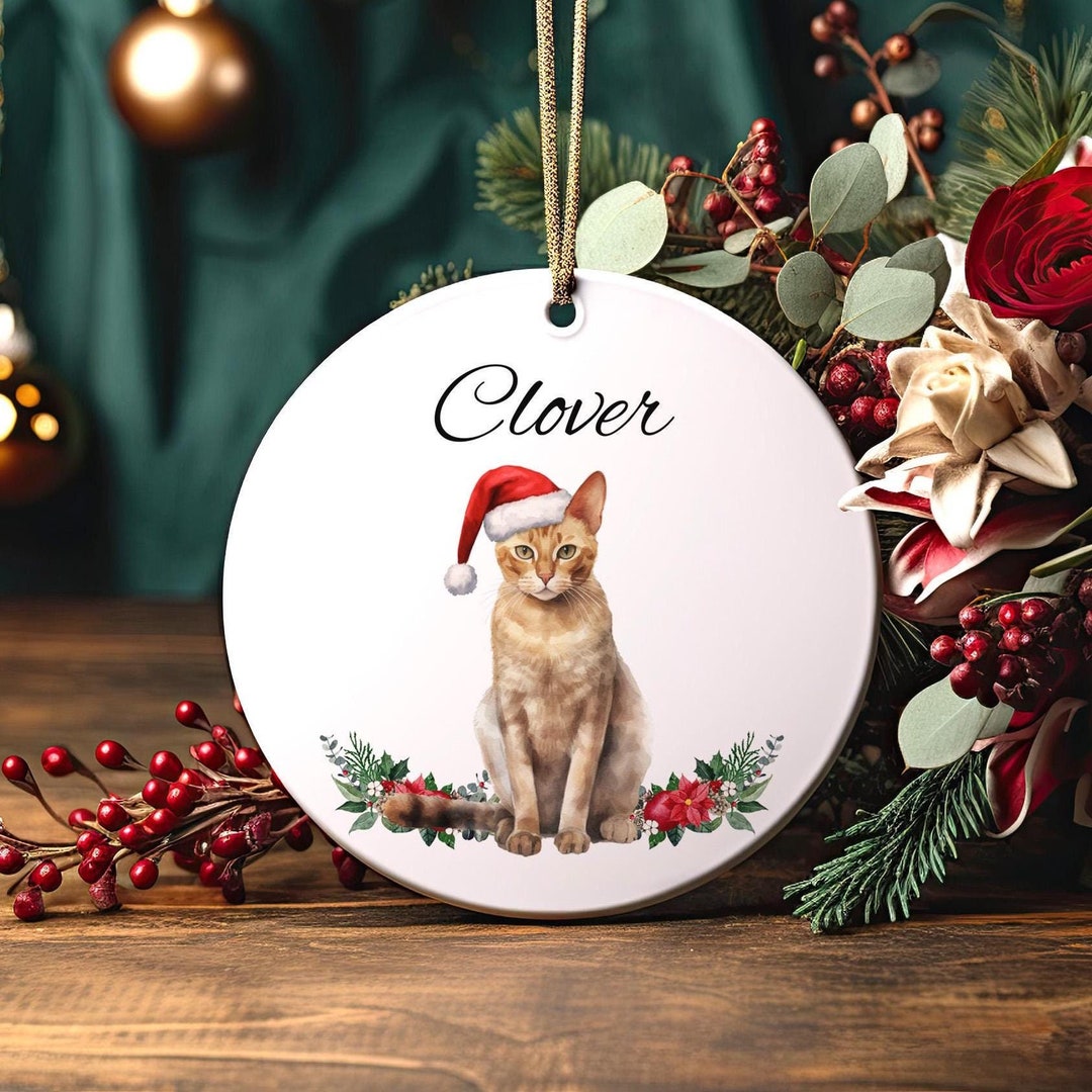 Personalized Chaucie Cat Christmas Ornament, Custom Cat Ornament, Cat ...