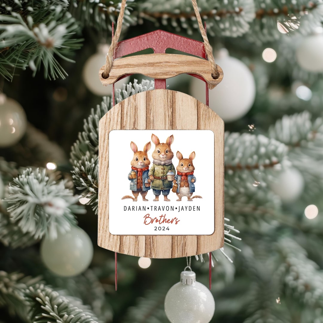Custom Brothers Family Christmas Ornament, Personalized Names, 3 ...