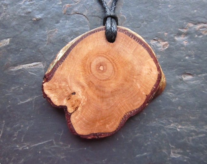Unique Natural Wood Pendant Hazel for Wisdom. - Etsy