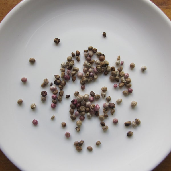 English Ivy Seeds - Etsy