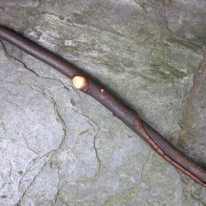 Rare Natural Wood Wand - Bay - Increases Psychic Powers. - Etsy