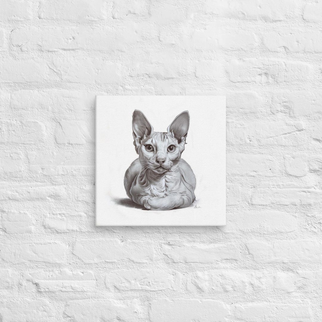 Pure White Devon Cat Wall Art Canvas Gift Present - Etsy