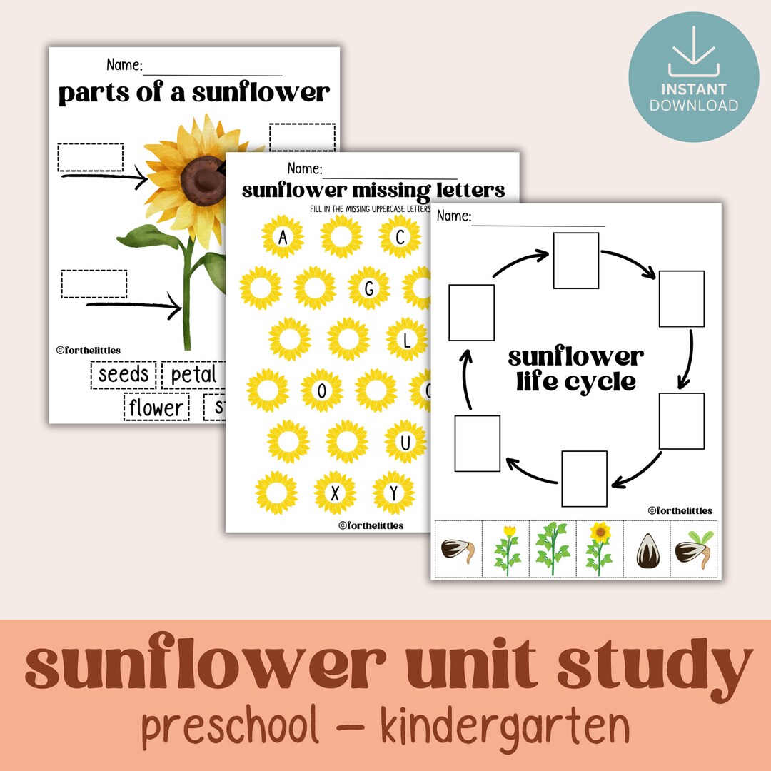 Sunflower Unit Study Homeschool | Fall Printables | Preschool Nature ...