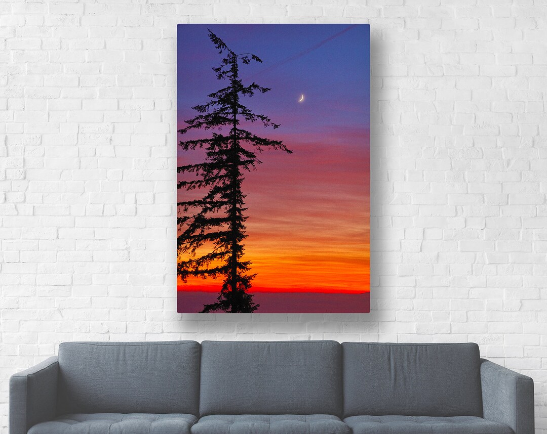 Nature Photography "standing Tall" Tree Photo Tree Photography Tree ...