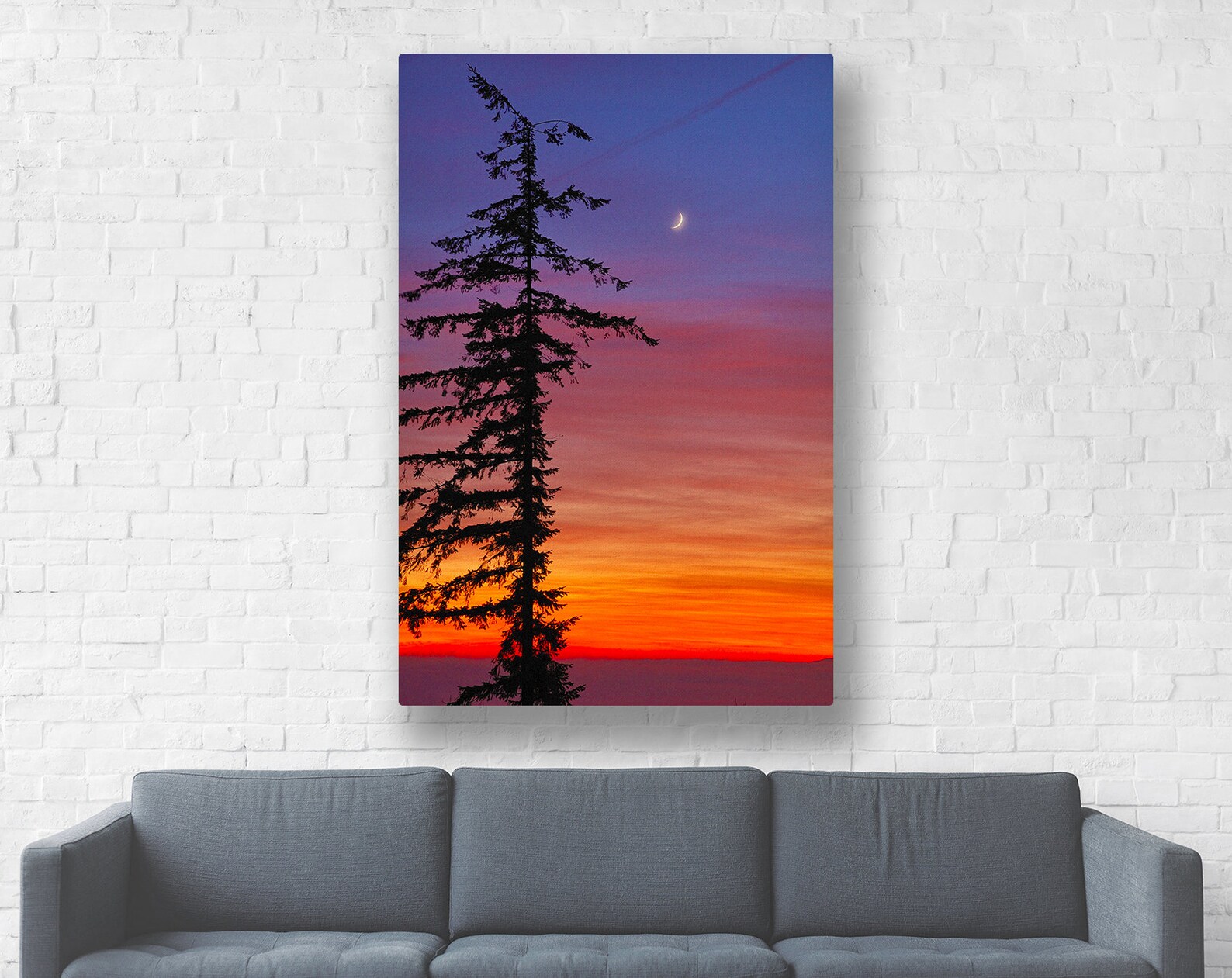 Nature Photography "standing Tall" Tree Photo Tree Photography Tree ...