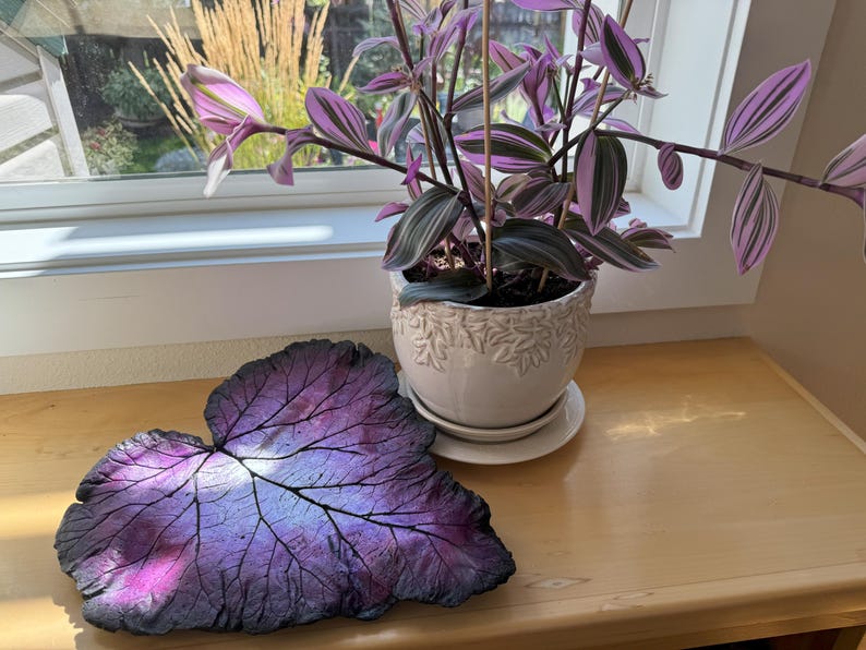 Concrete Rhubarb Leaf Cast. Pink and White Color. - Etsy