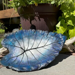 Concrete Elephant Ear Leaf Cast. Blue and Silvery White Color. This One ...