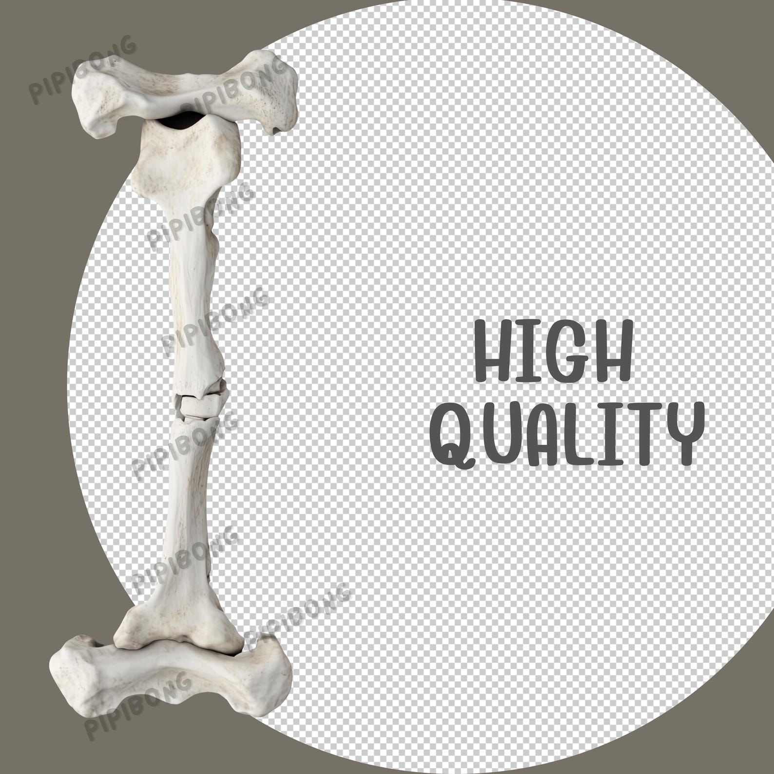 Bones Alphabet Png 2 Pack, Bones Font, Bones Letter Png, Bones Clipart ...