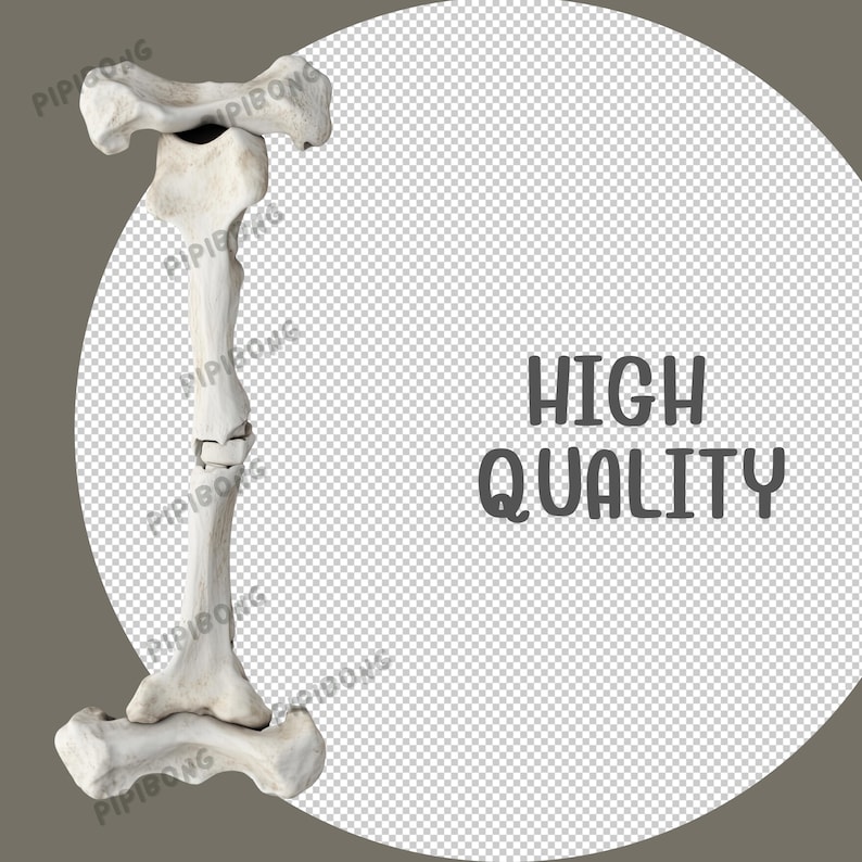 Bones Alphabet Png 2 Pack, Bones Font, Bones Letter Png, Bones Clipart ...