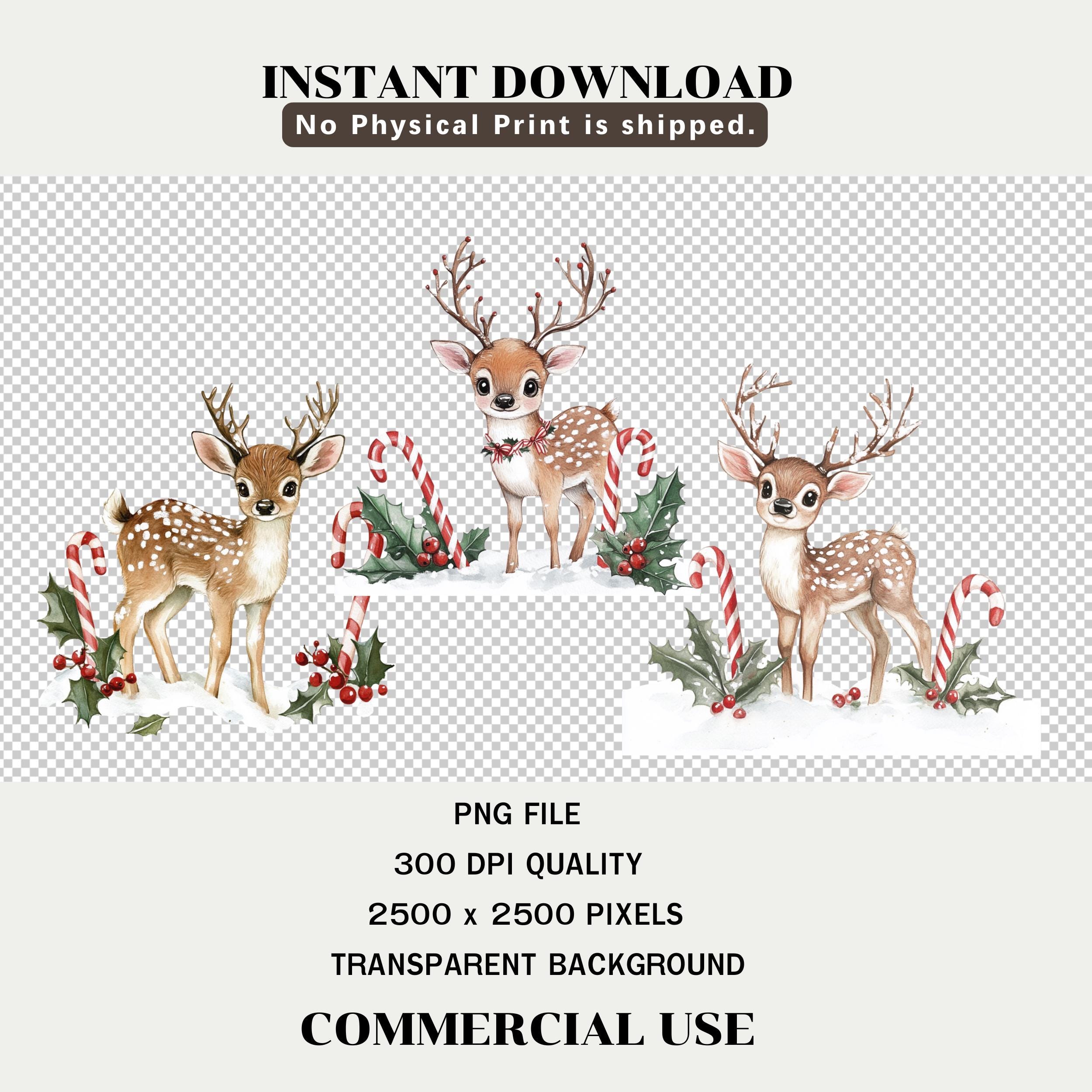 Watercolor Cute Reindeer Clipart, Christmas Woodland Animal Watercolor ...