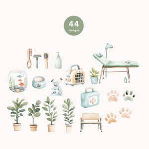 Cute Charming Pet Clinic Clipart, Cat and Dog Illustrations, Watercolor ...