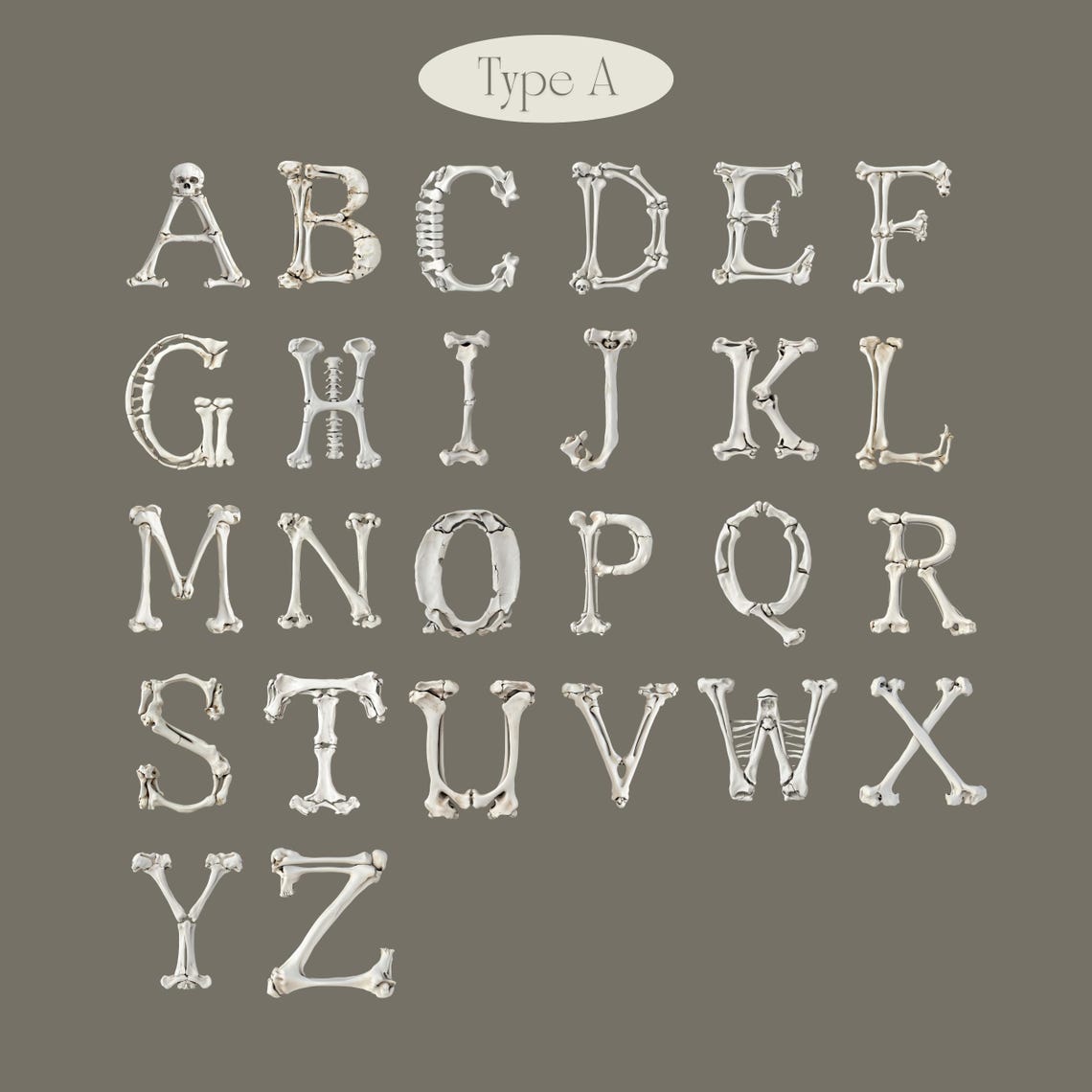 Bones Alphabet Png 2 Pack, Bones Font, Bones Letter Png, Bones Clipart ...