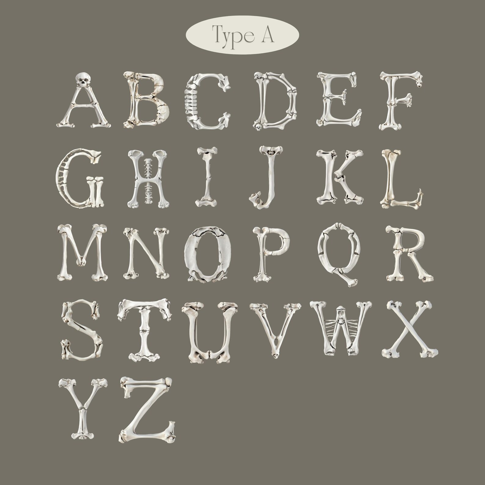 Bones Alphabet Png 2 Pack, Bones Font, Bones Letter Png, Bones Clipart ...