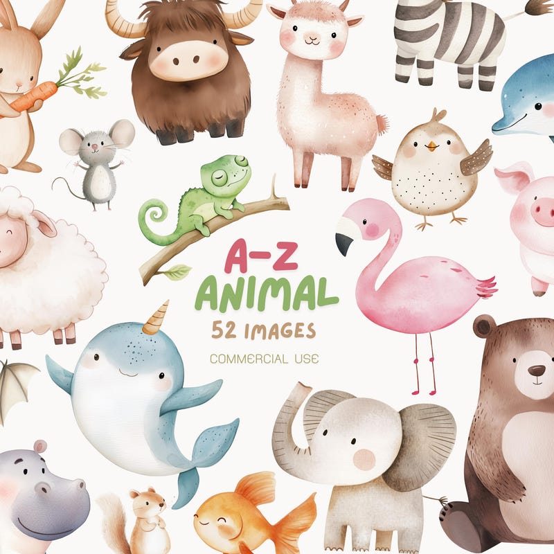 Animal Alphabet - Etsy