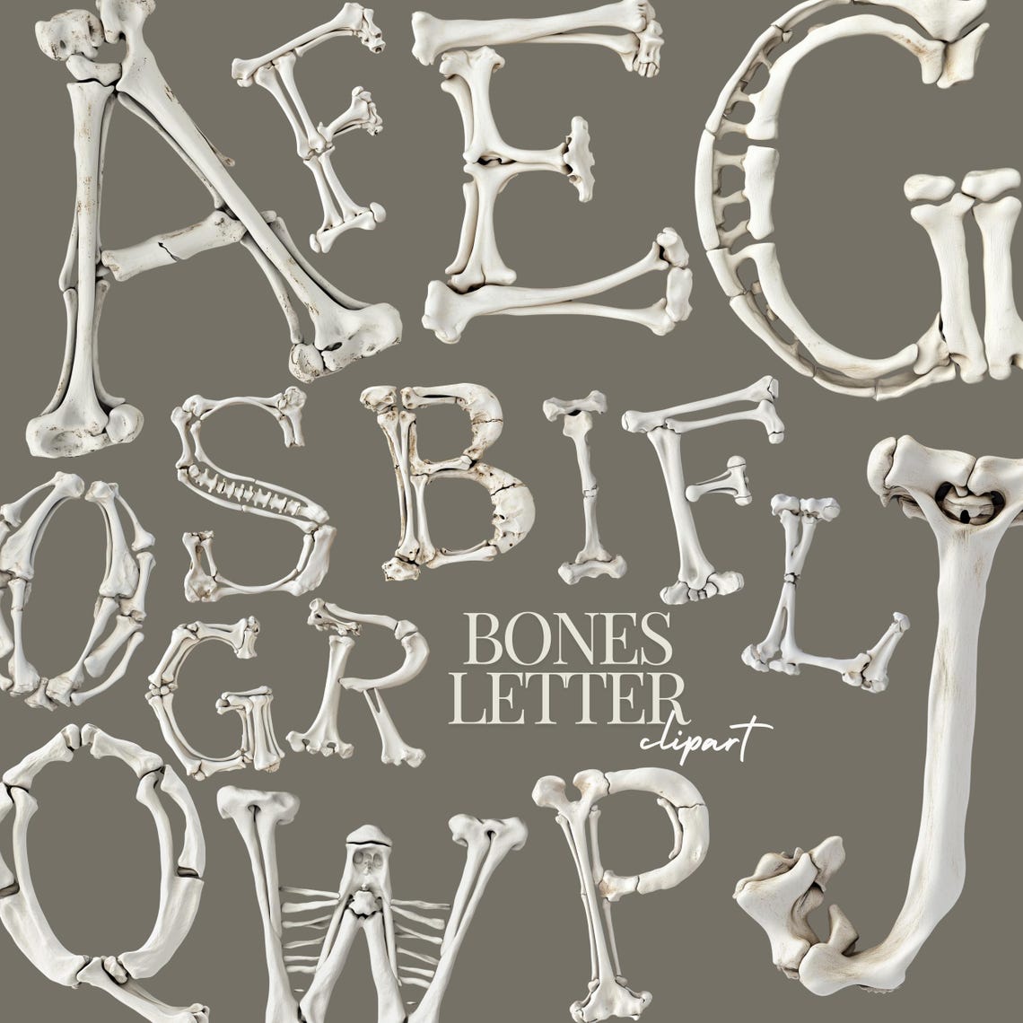 Bones Alphabet Png 2 Pack, Bones Font, Bones Letter Png, Bones Clipart ...