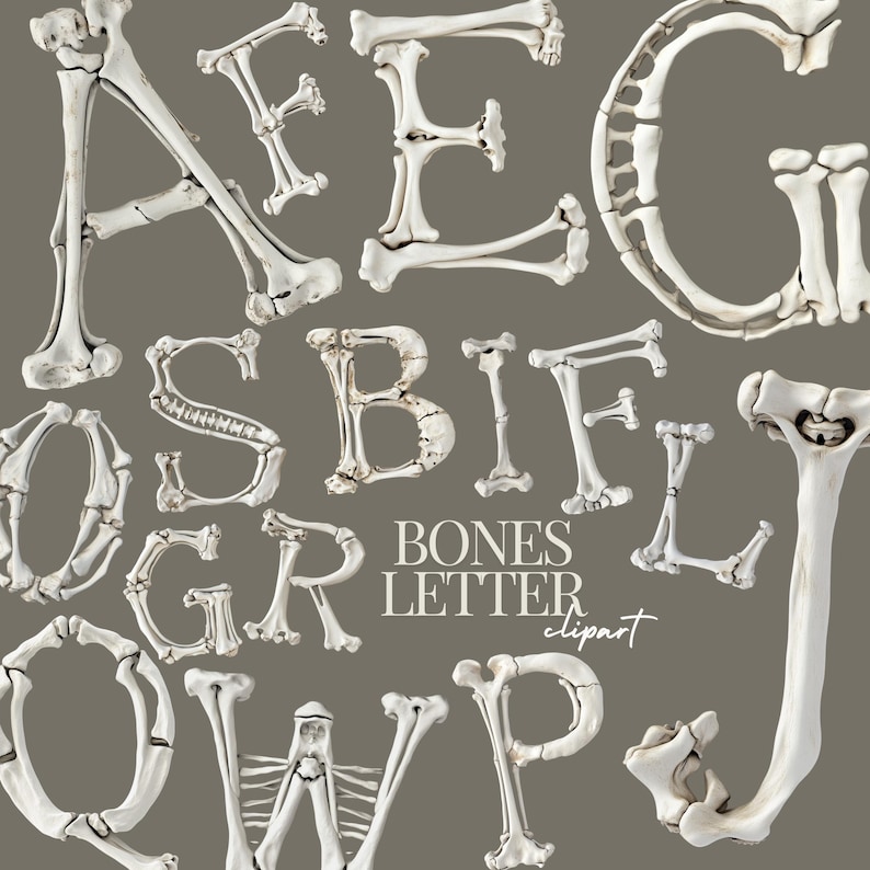 Bones Alphabet Png 2 Pack, Bones Font, Bones Letter Png, Bones Clipart ...