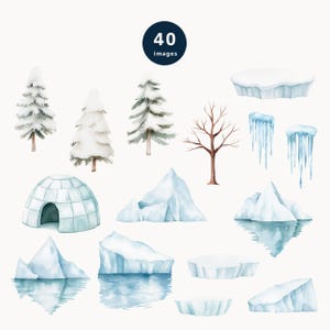 Arctic Animals Watercolor Clip Arts, Holiday Winter Set, Polar Animals ...