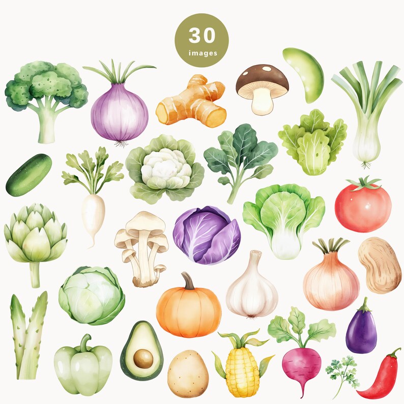 Cute Watercolor Vegetables Clipart, Healthy Food Clipart, Carrot, Corn ...