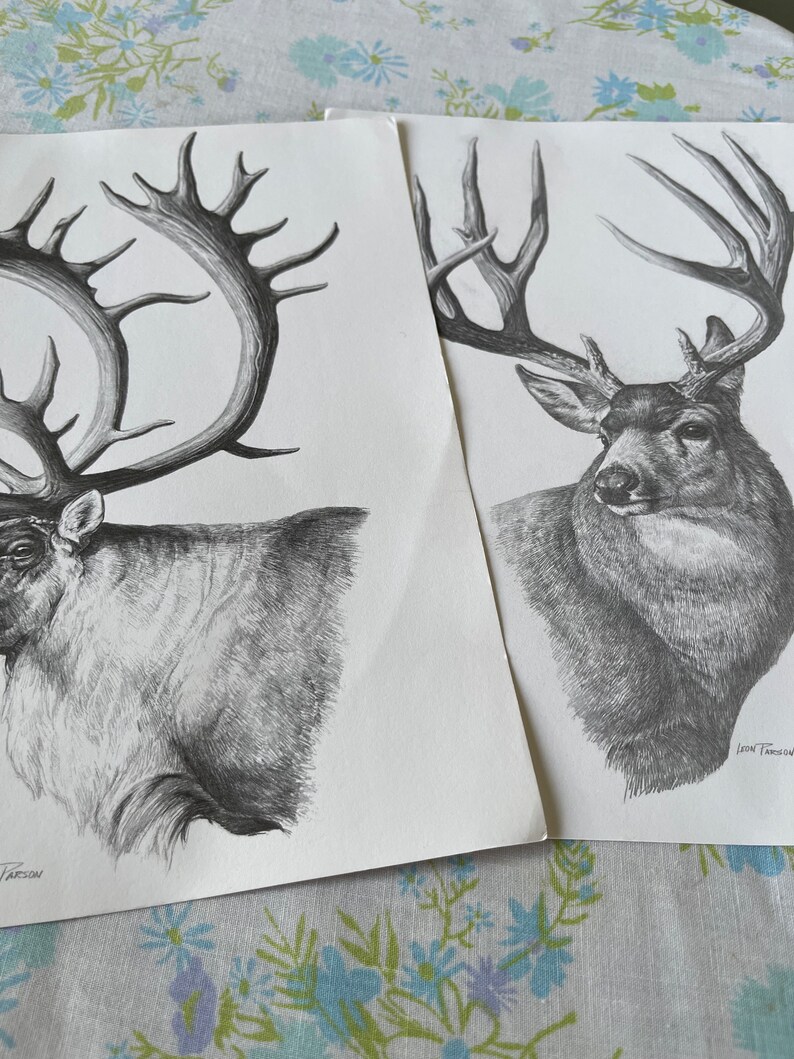 Vintage Lot of 2 LEON PARSON Prints Art Buck and Elk - Etsy