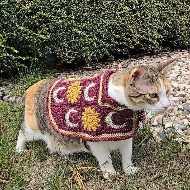 Crochet Cat Sweater - Etsy
