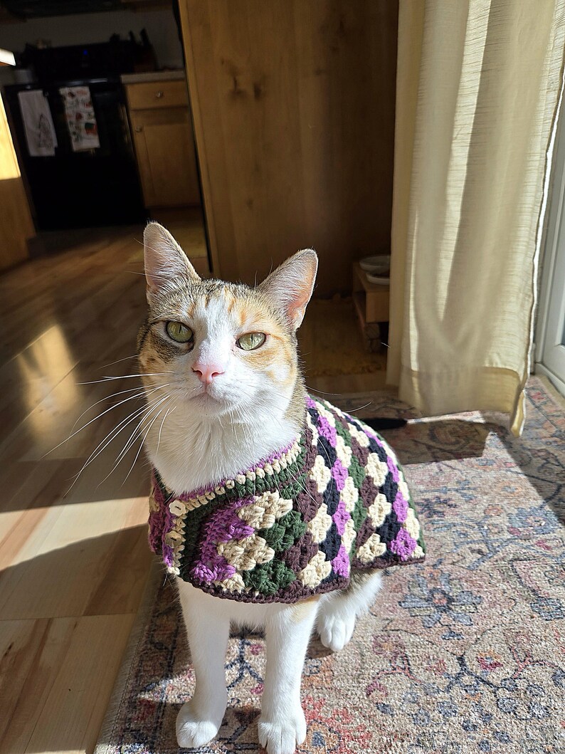 Cat Sweater Crochet Pattern Diamond Cat Sweater Diamond Crochet Stitch Beginner Crochet Pattern ...