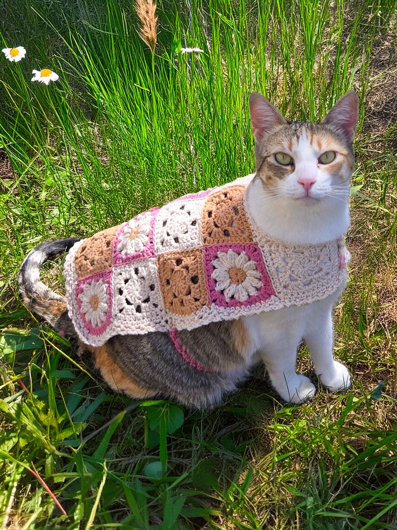 Cat Sweater Crochet Pattern — Daisy Cat Sweater | Daisy and Lacy Granny ...