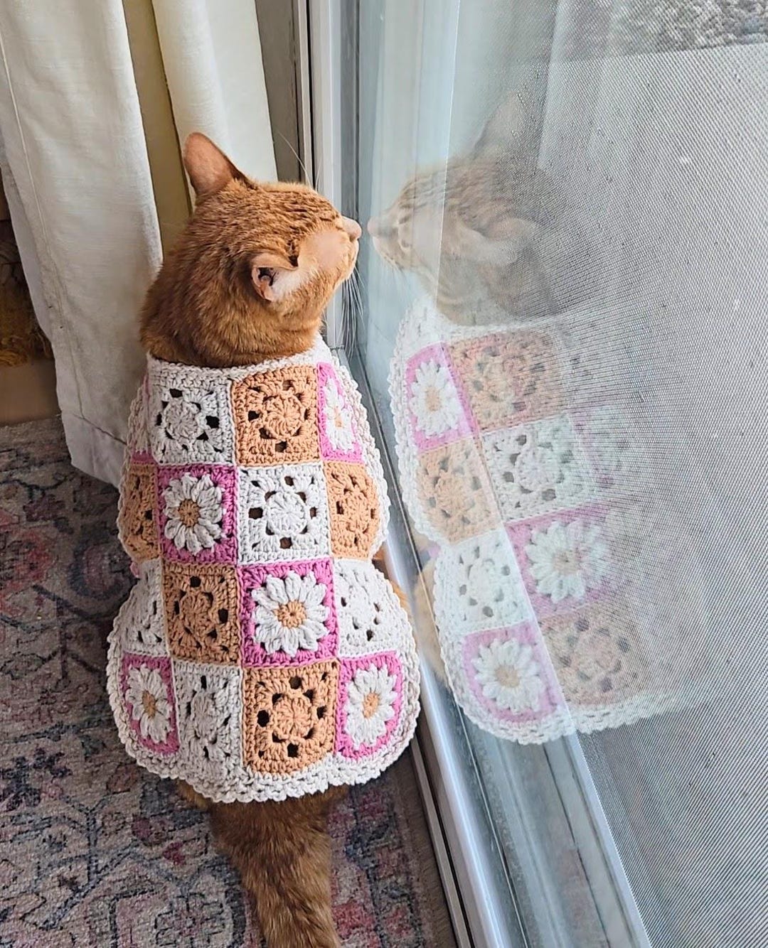 Cat Sweater Crochet Pattern — Daisy Cat Sweater | Daisy and Lacy Granny ...